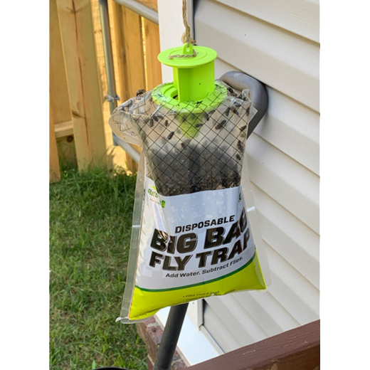 Huge Fly Traps Huge Fly Traps